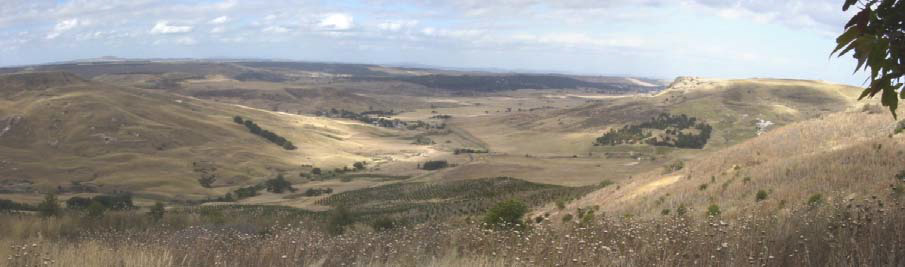 Port Philip and Westernport CMA GFS12